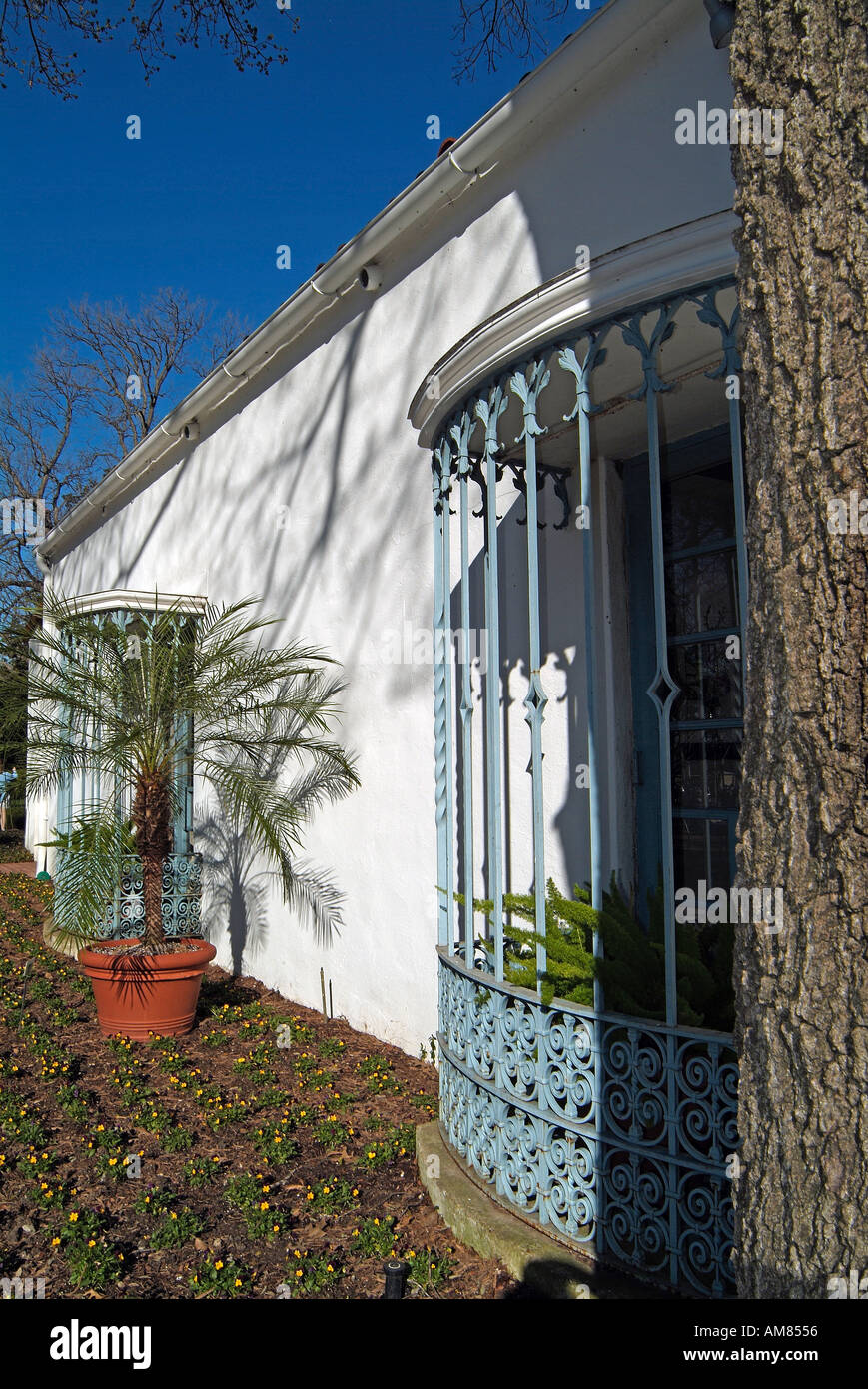 Palm tree in front of a house Stock Photo - Alamy