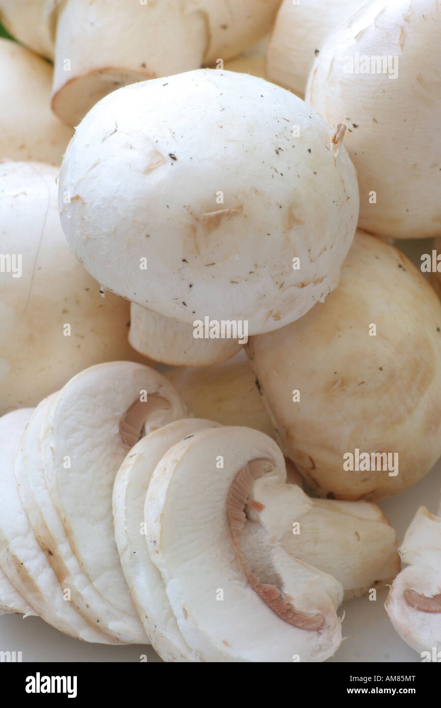 Button edible common white field mushroom hi-res stock photography and ...