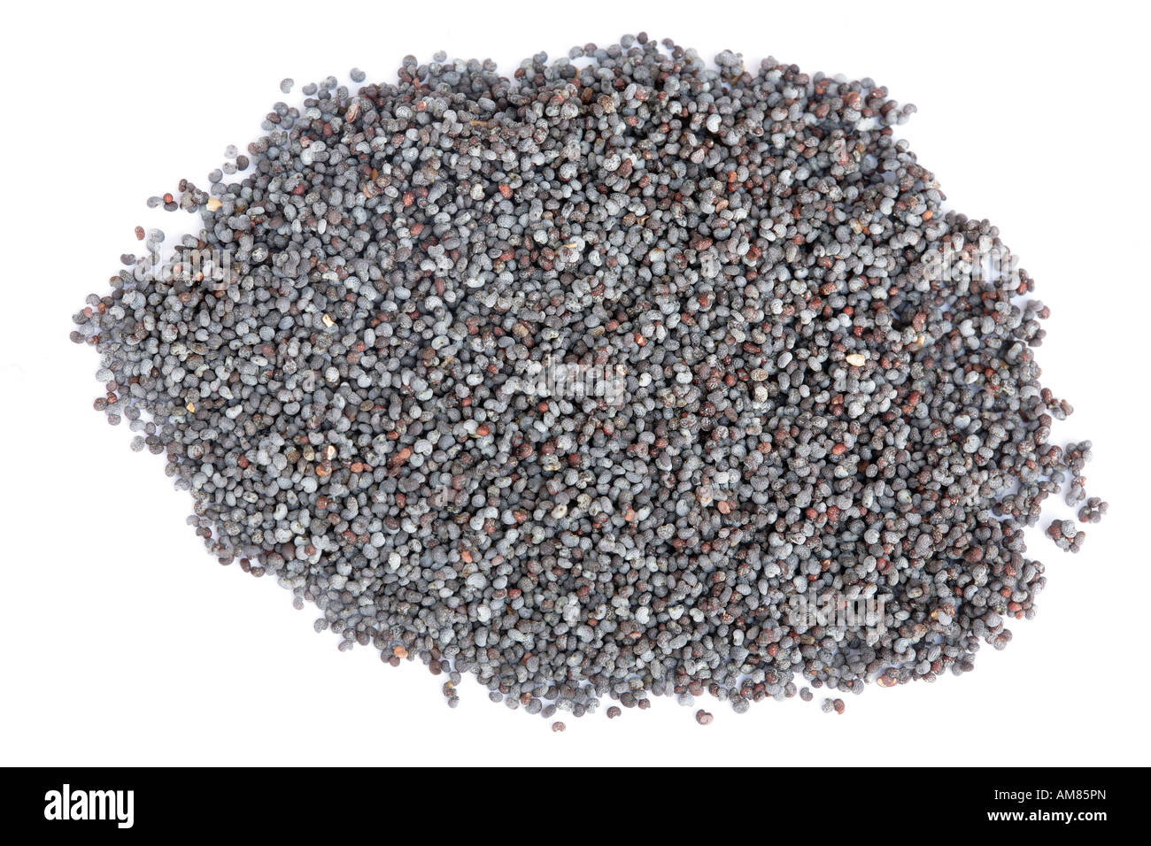 Blue Poppy Seeds Stock Photo - Alamy