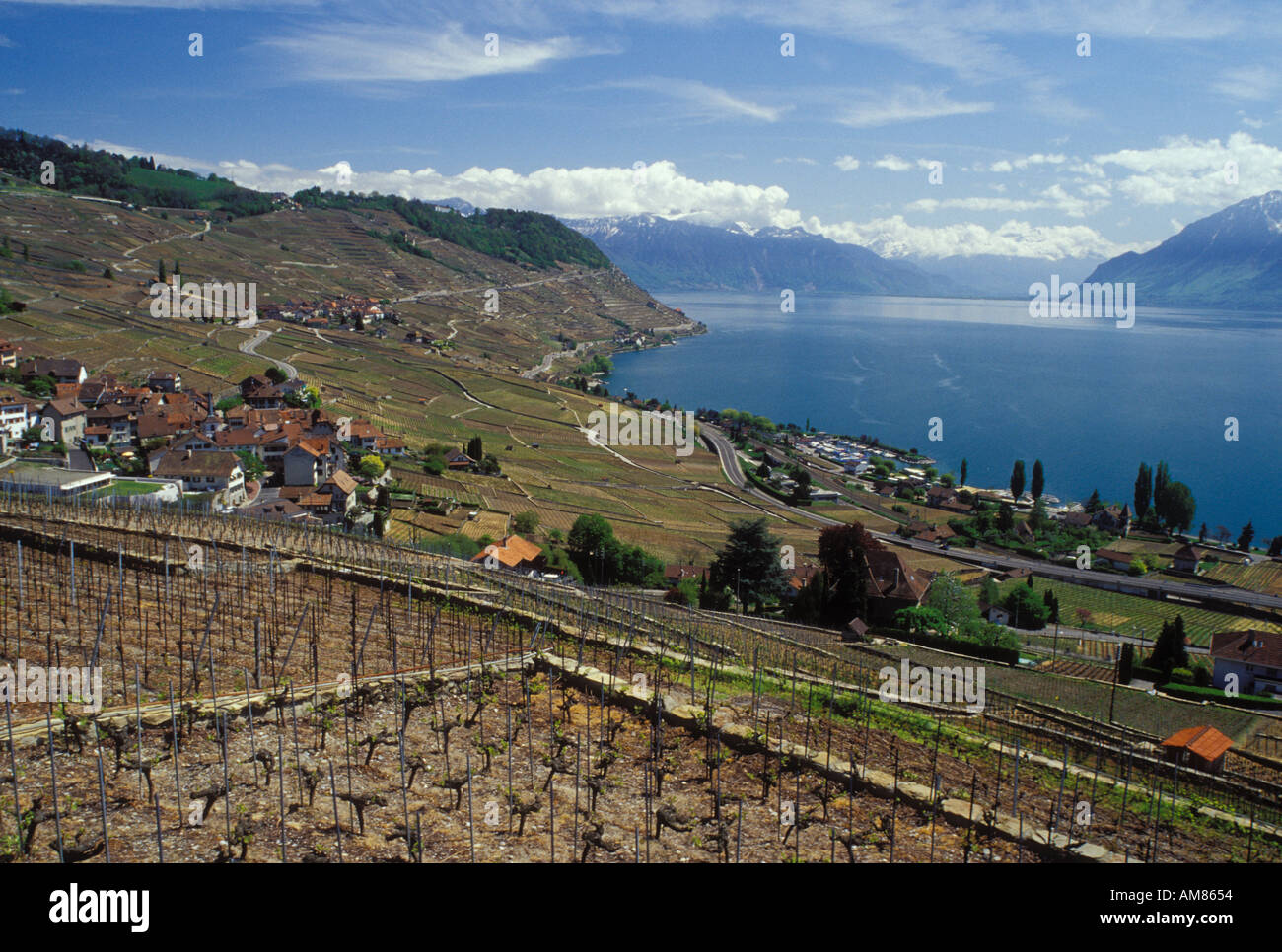 AJ20370, Switzerland, Vaud, Lavaux, Lake Geneva, Europe Stock Photo - Alamy