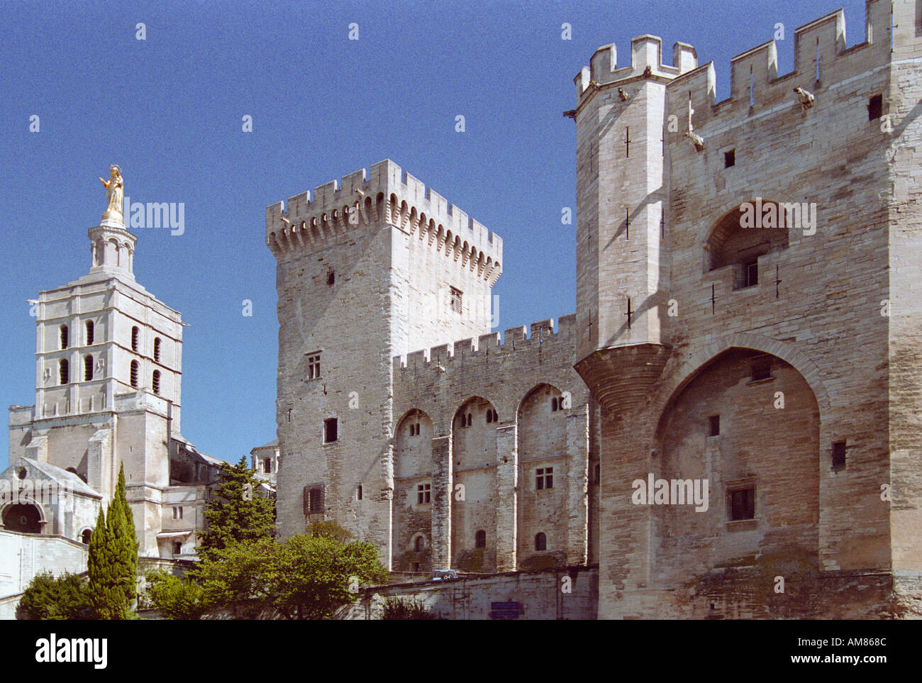 Cathedral and Popes Palace in Avignon France Stock Photo - Alamy