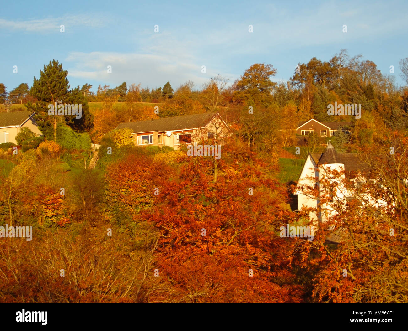 Autumn Colours Jedburgh Royal Burgh of Jedburgh Roxburghshire Scottish ...