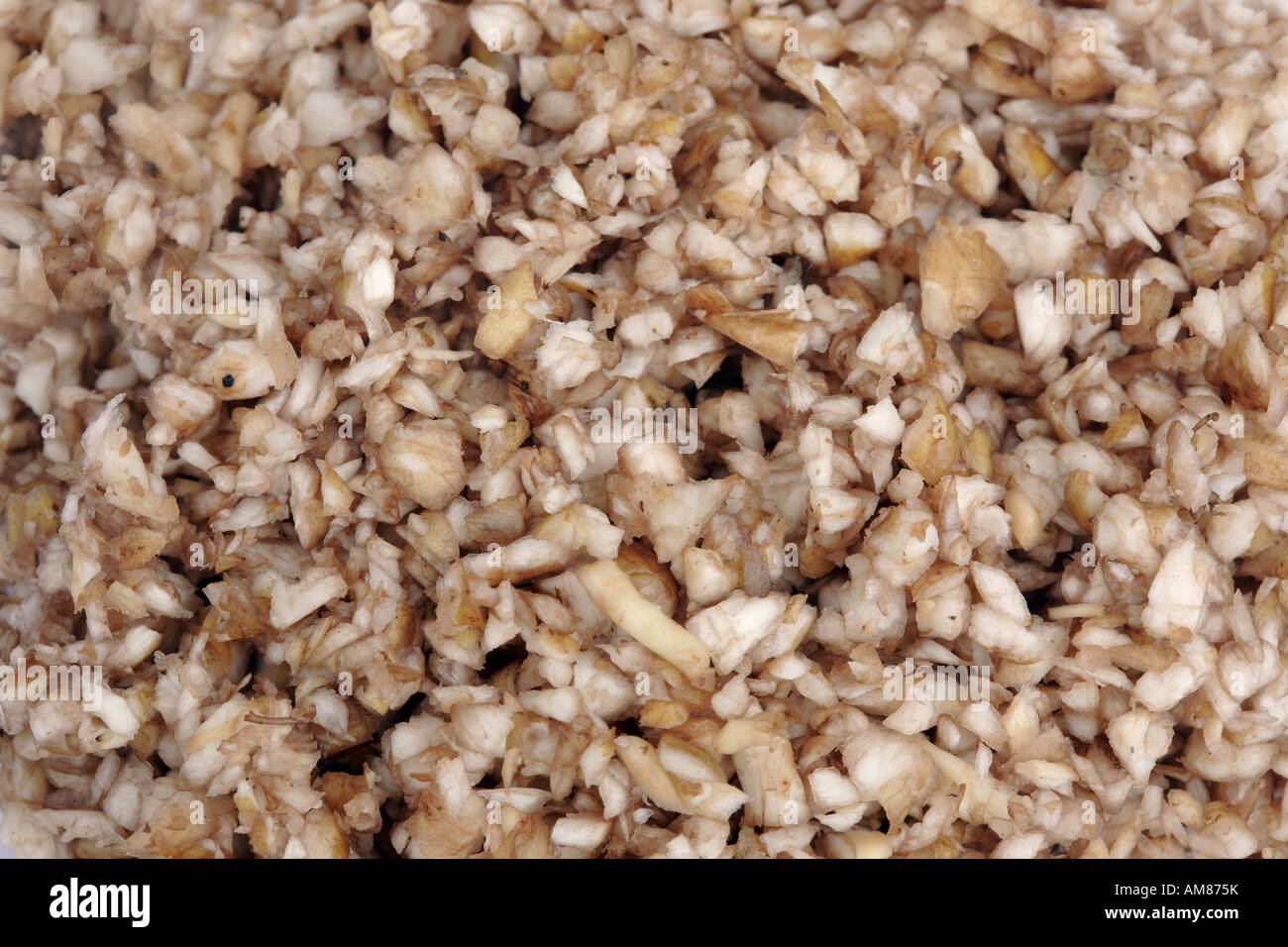 Dandelion root ground un-roast Stock Photo - Alamy