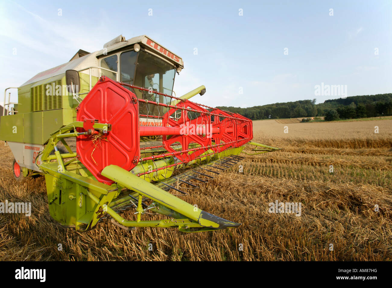 Oat harvest, North Rhine-Westphalia, Germany Stock Photo - Alamy