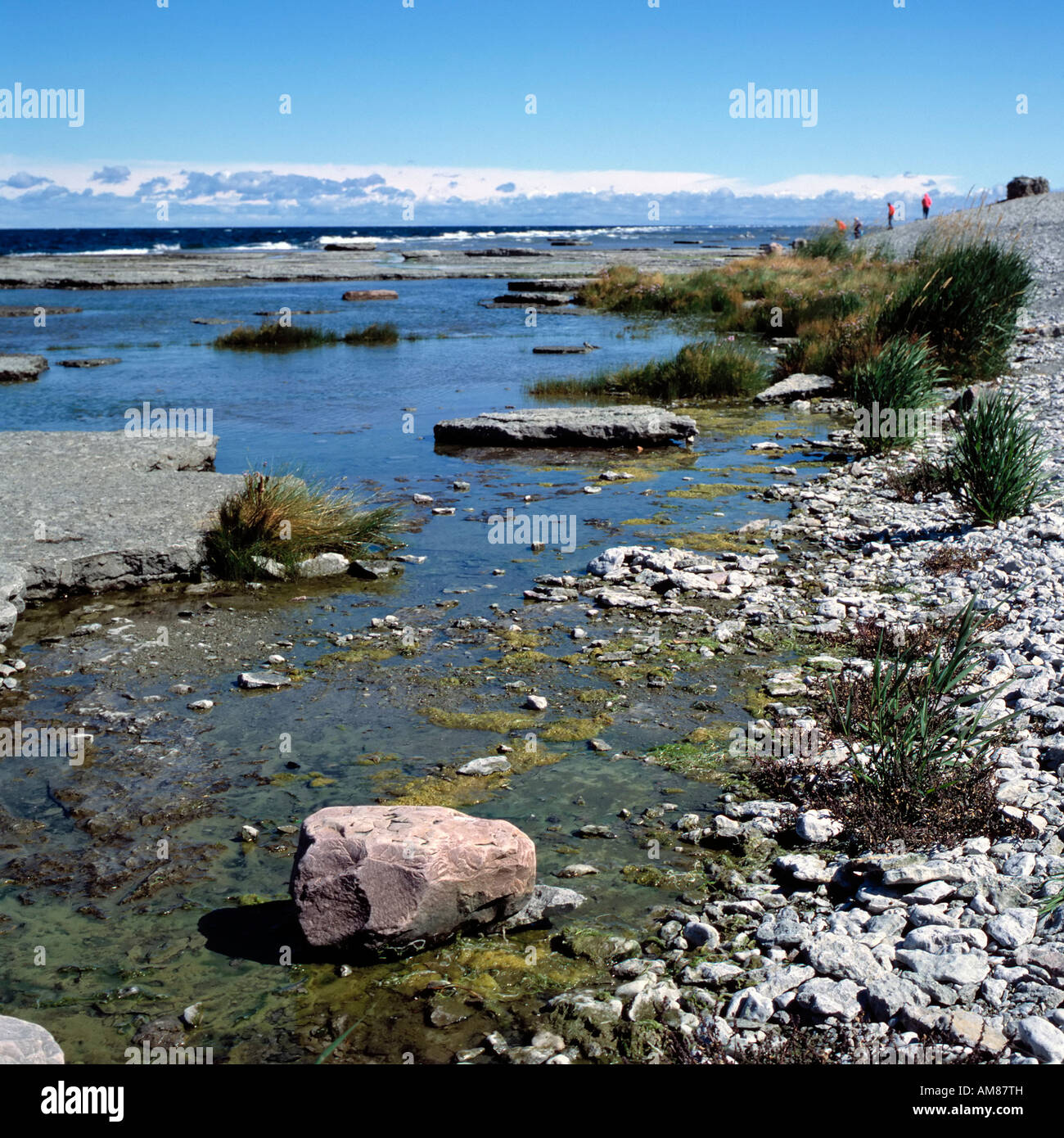 Neptune gras hi-res stock photography and images - Alamy