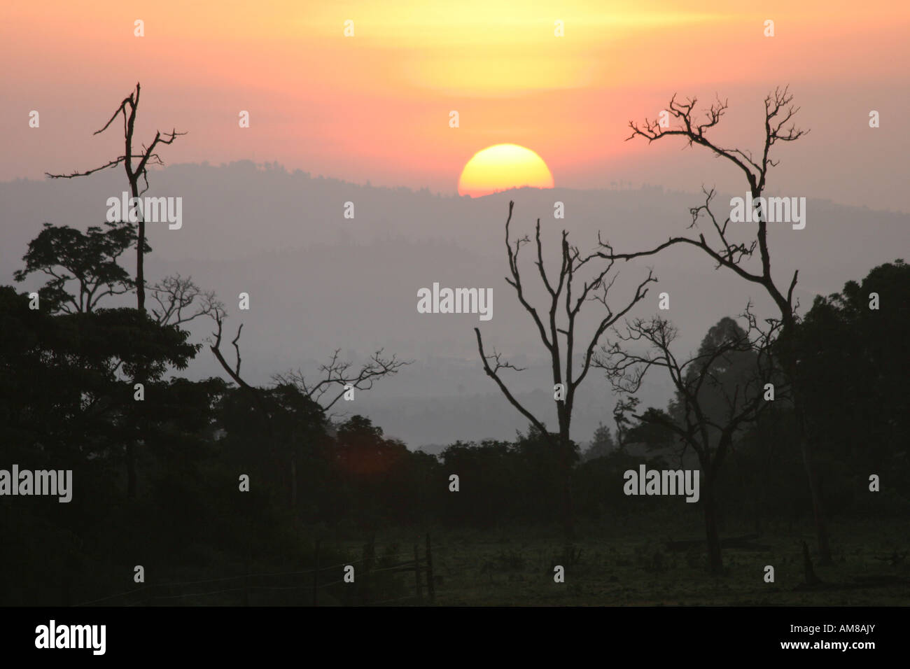 Kenya Aberdare National Park Kenya Sun rise at treetops lodge Stock ...