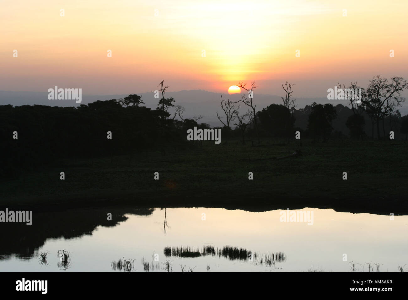 Kenya Aberdare National Park Kenya Sun rise at treetops lodge Stock ...