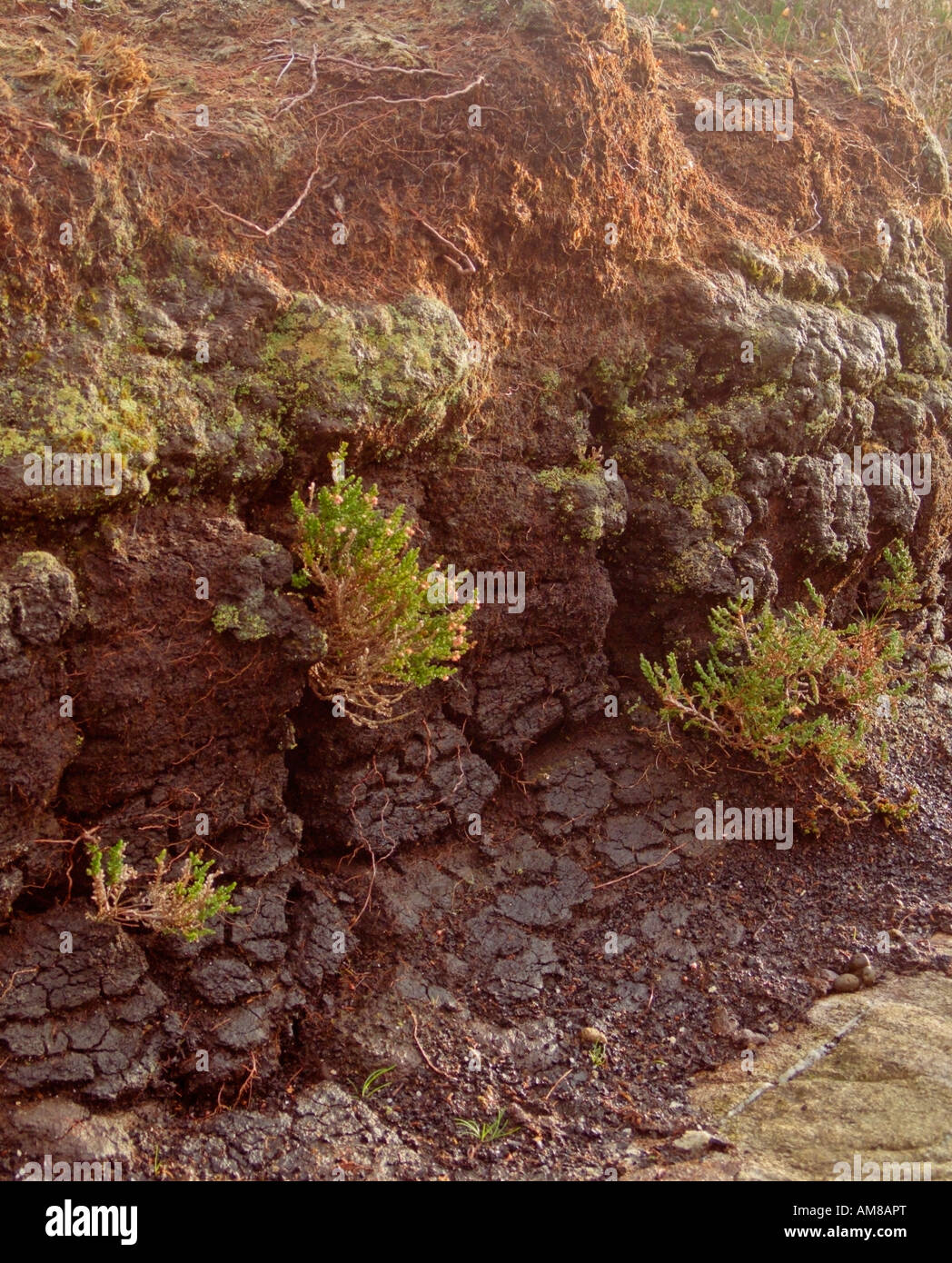 Peat Diggings Isle of Scalpay near Isle of Harris Outer Hebrides ...