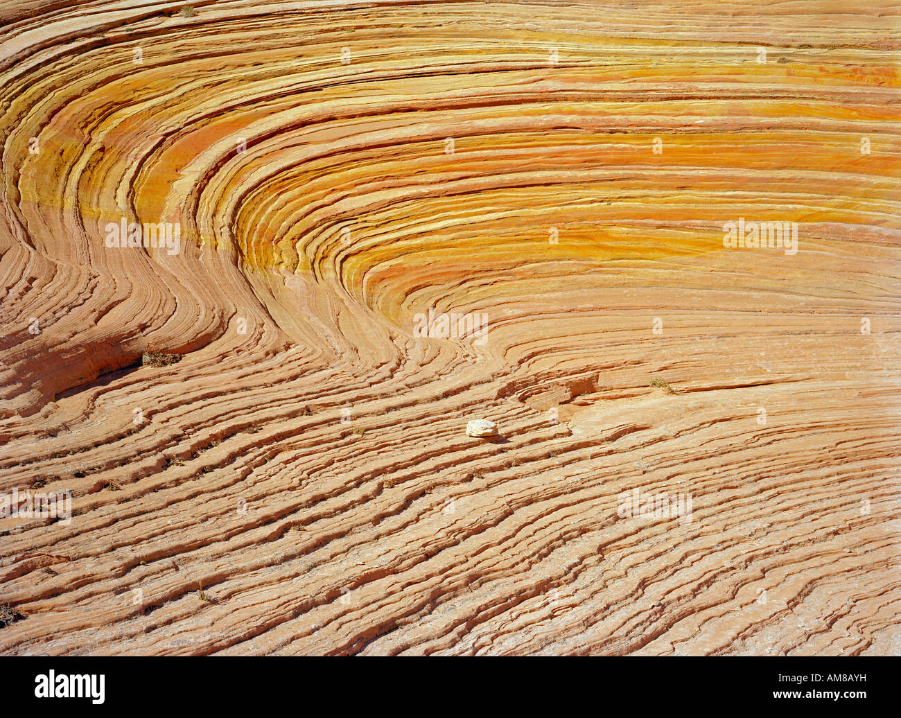 Coyote Buttes Grand Staircase Escalante National Monument curves Stock ...