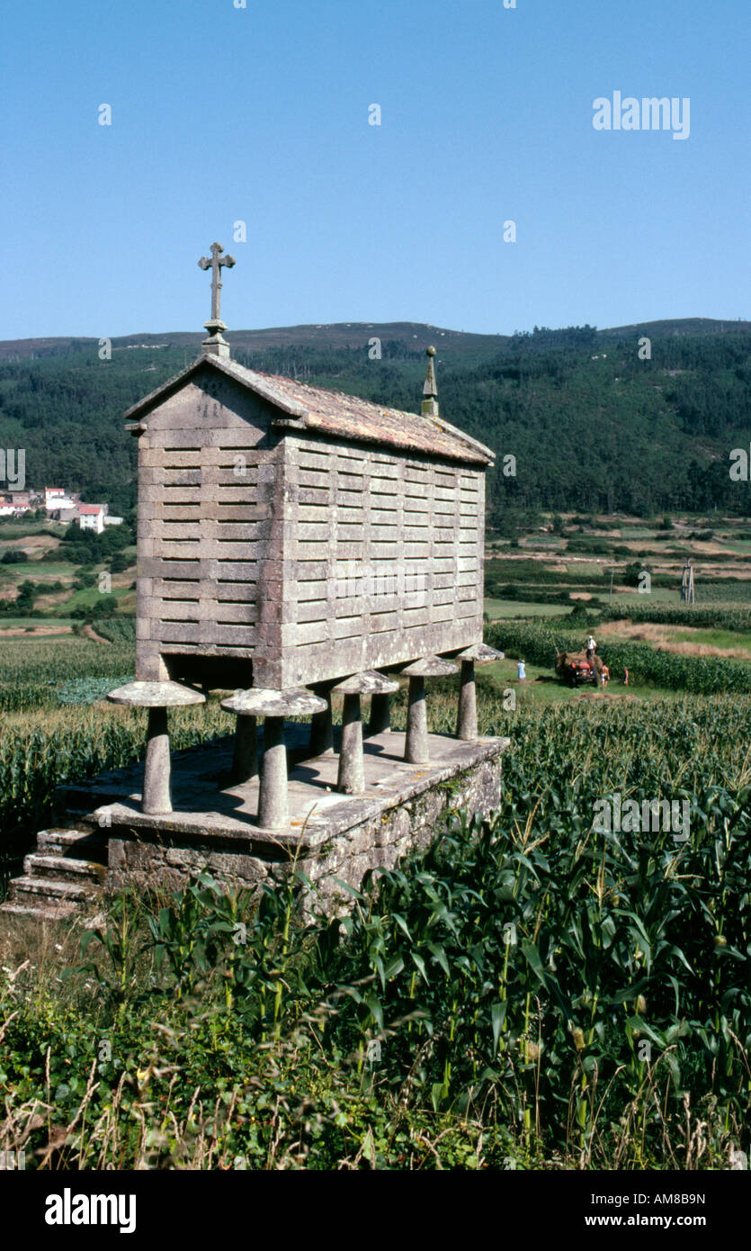 A stone built Horreo a traditional Galician store for maize (corn) in ...
