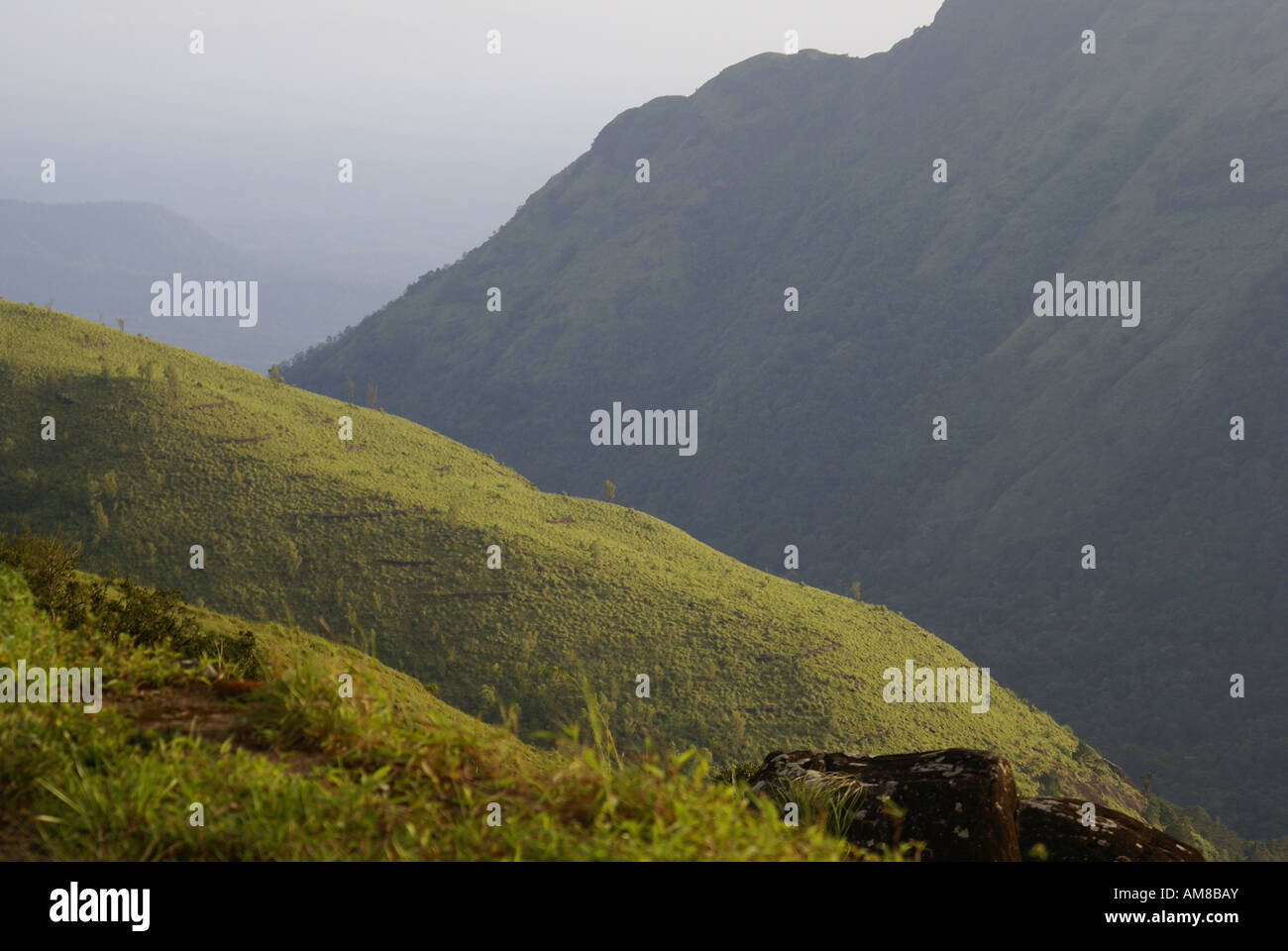 The place is Ponmudi in Kerala, India Stock Photo - Alamy