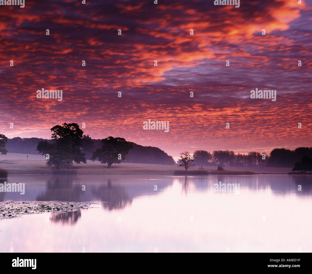 Red salmon sky dawn over Fawsley lake near Daventry Northamptonshire ...