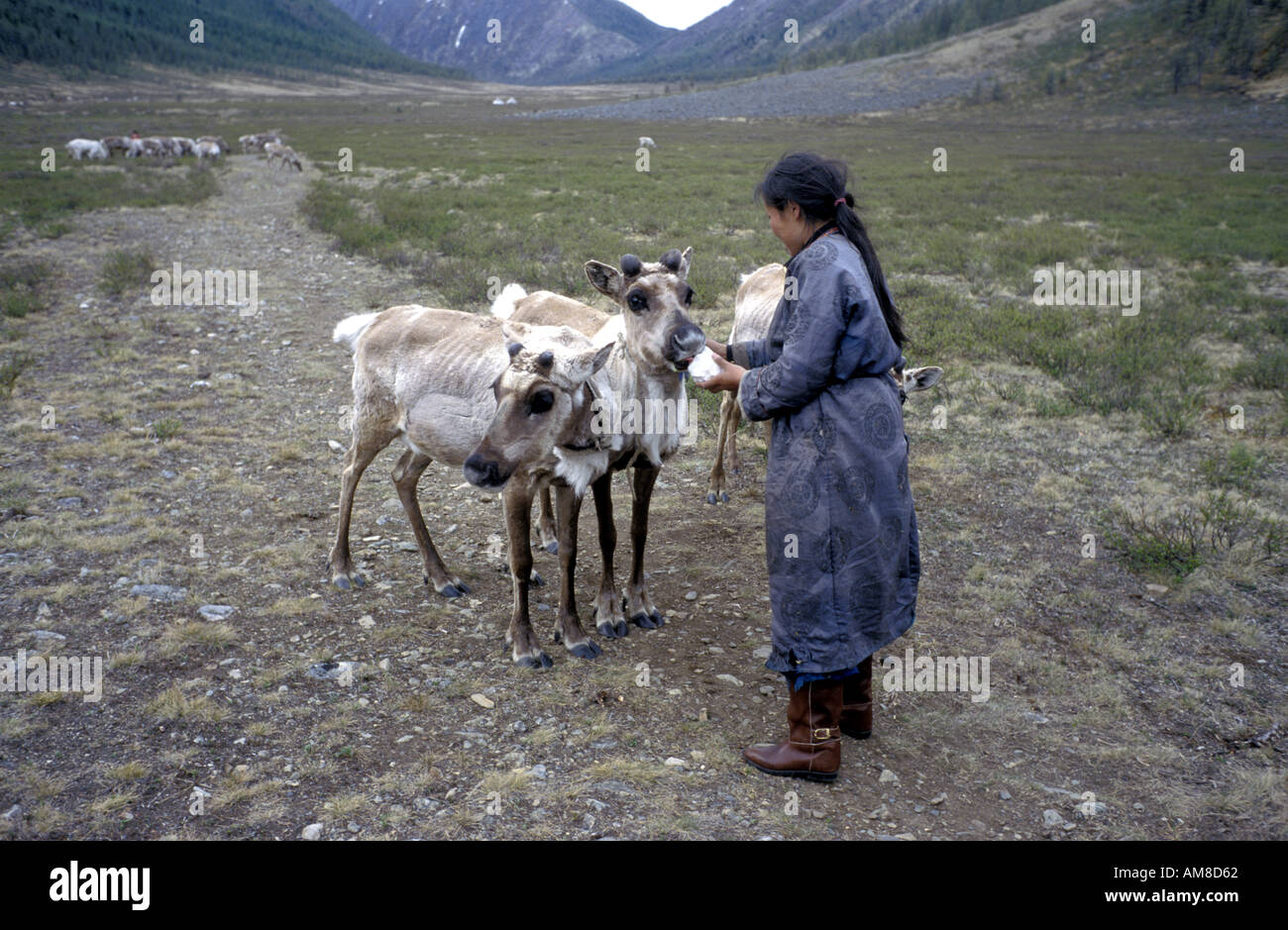 Russian Teepee High Resolution Stock Photography and Images - Alamy
