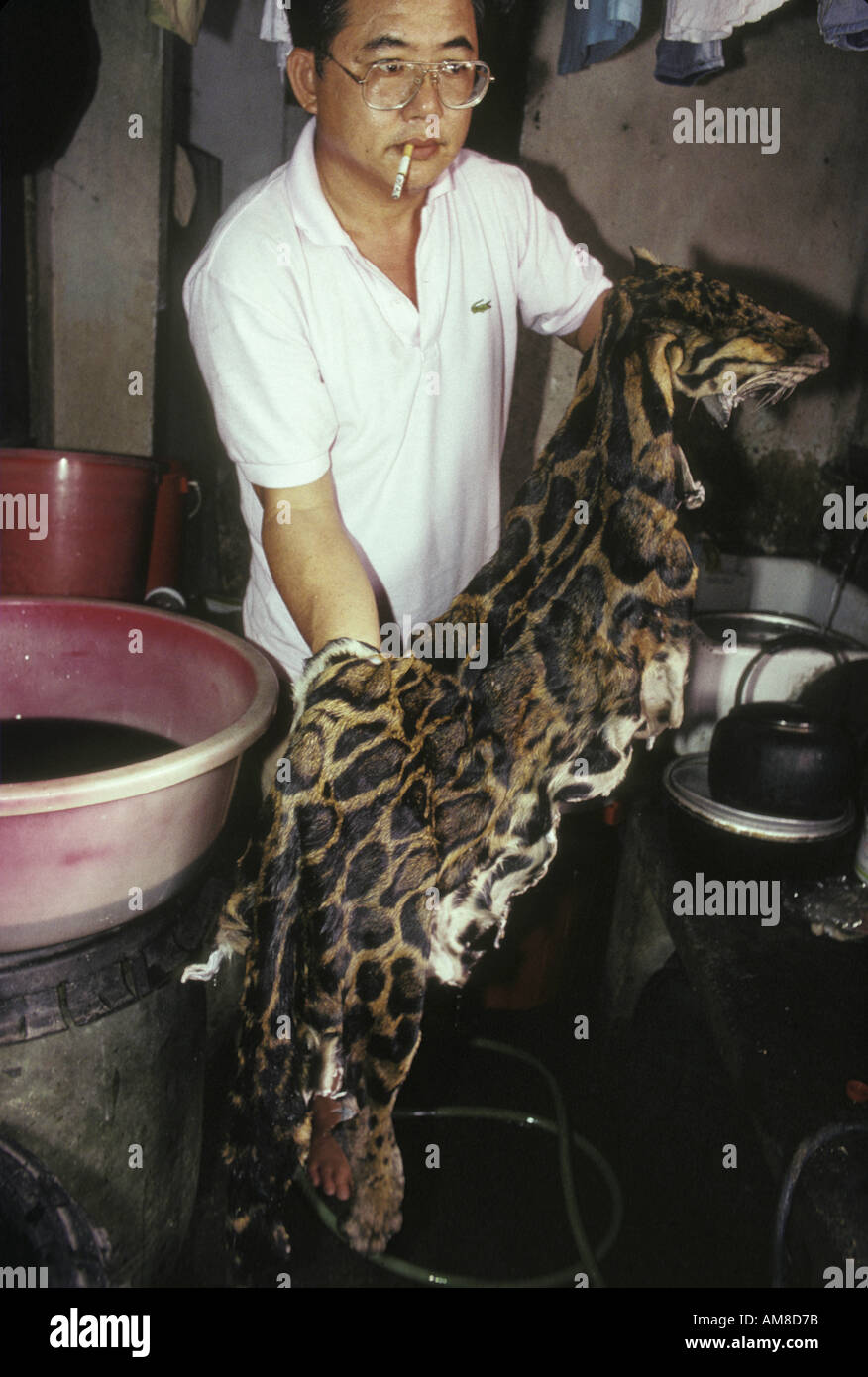 Leopards skin hi-res stock photography and images - Alamy