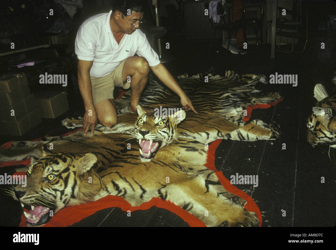 Tiger Rug High Resolution Stock Photography and Images - Alamy