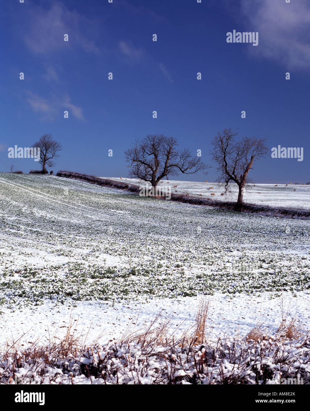 Burrough on the hill hi-res stock photography and images - Alamy