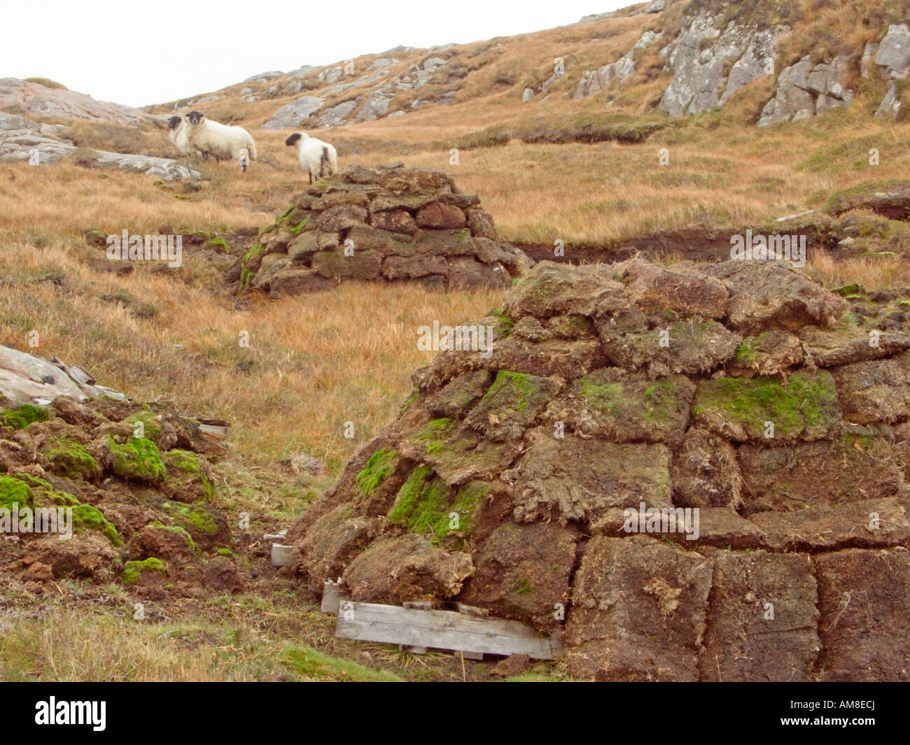 Peat digging hi-res stock photography and images - Alamy