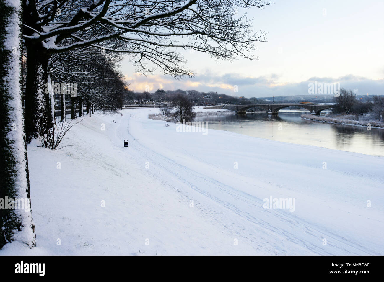 Snow covered winter trees leading into the distance along the River Dee ...