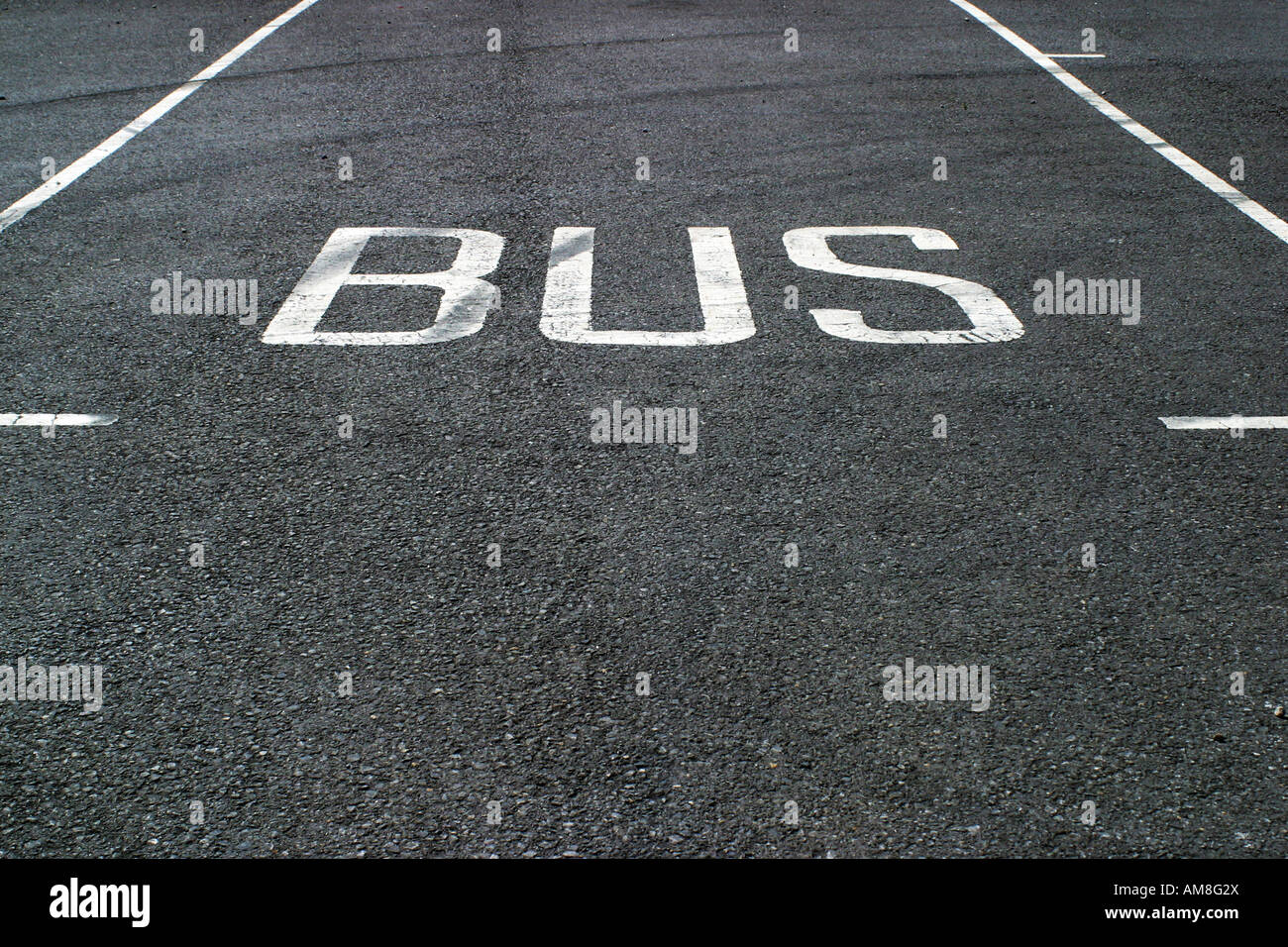 Road marking bus Stock Photo - Alamy