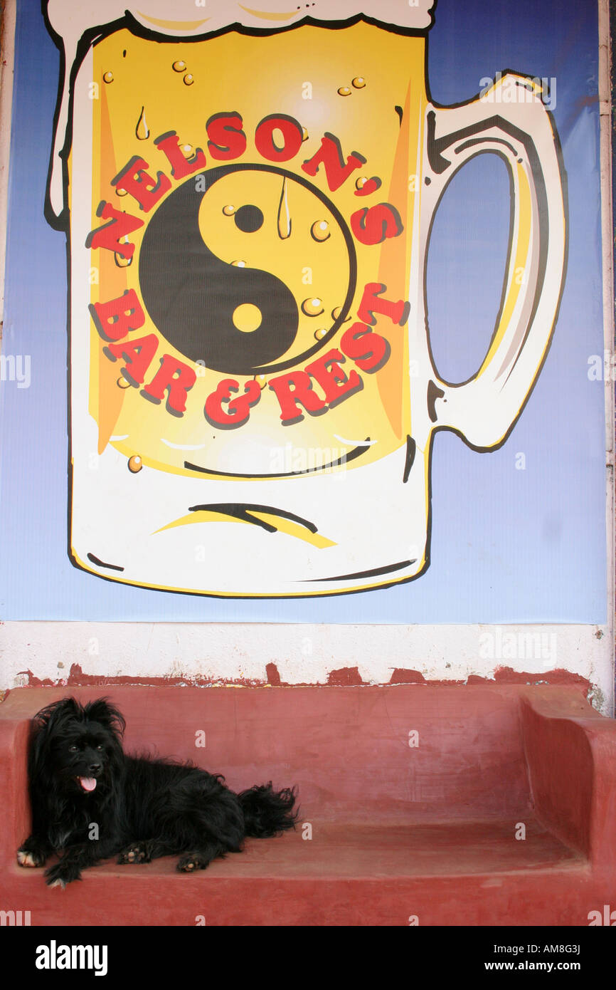 Dog at Bar Stock Photo - Alamy