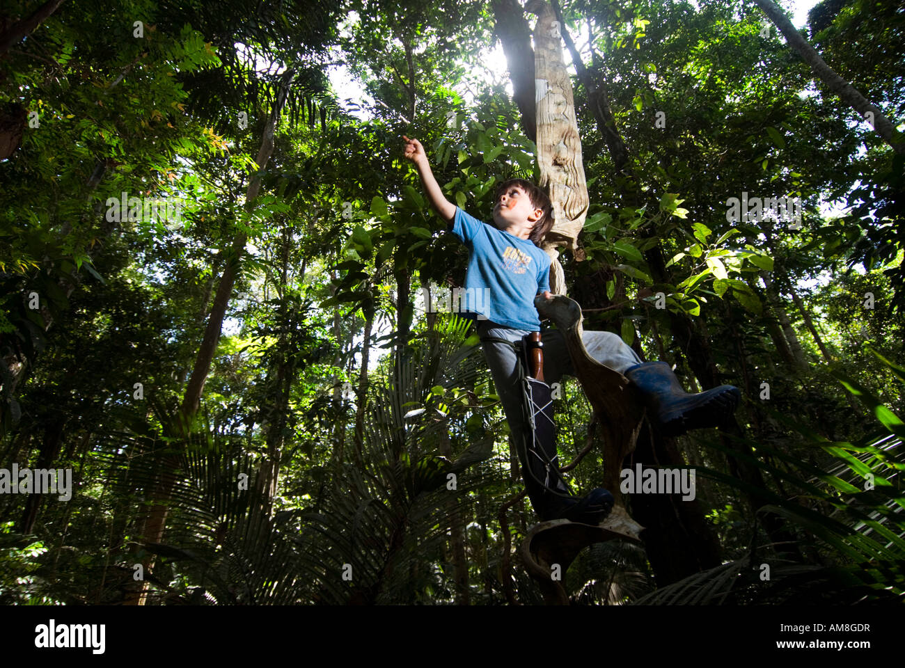 Amazonian child playing in the forest with the turtle ladder vine ...