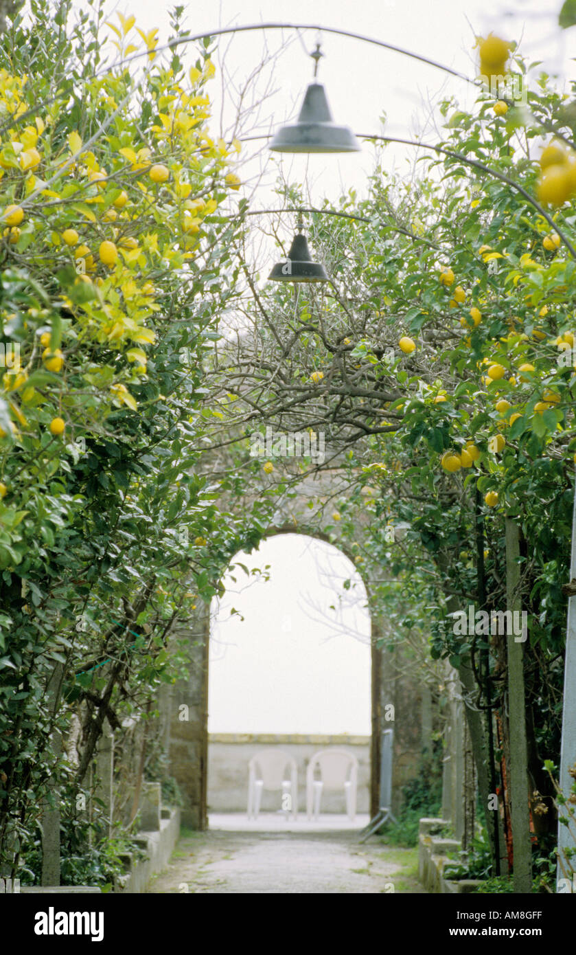 Procida Italy High Resolution Stock Photography and Images - Alamy