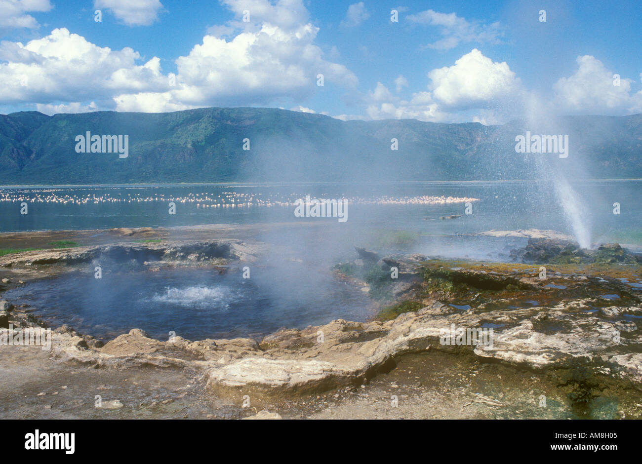 Hot water geyser at Lake Bogoria Stock Photo - Alamy