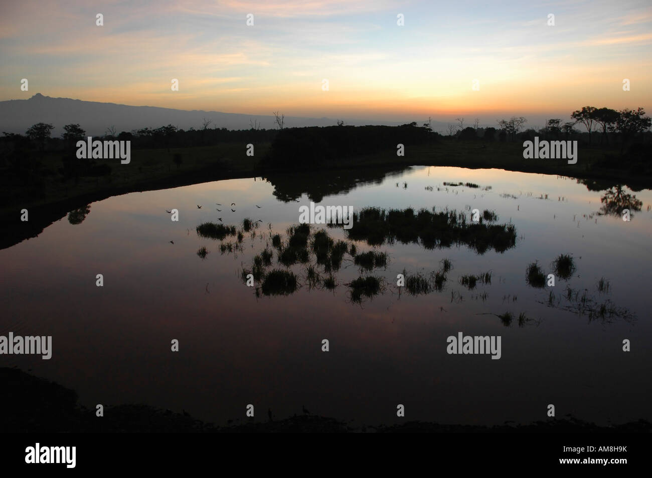 Kenya Aberdare National Park Kenya Sun set at treetops lodge Stock ...