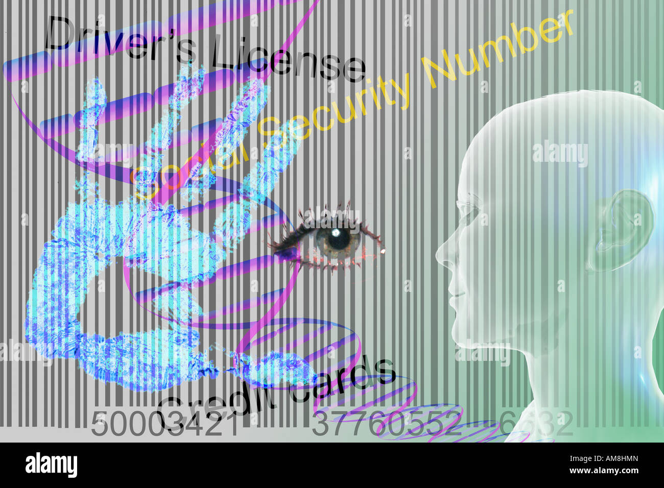 Digital personal history hi-res stock photography and images - Alamy