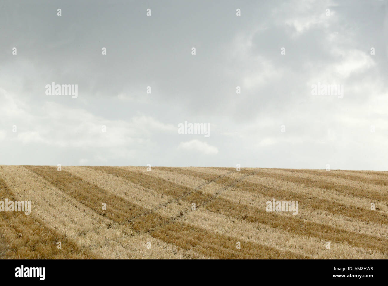 Sloped east anglian farming countryside with strong graphical lines ...