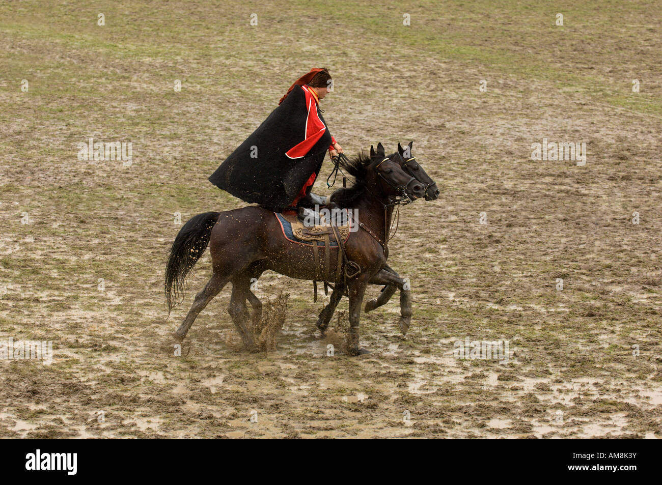 Cossack rider Royal Welsh Agricultural Show Builth Wells Powys Wales GB ...
