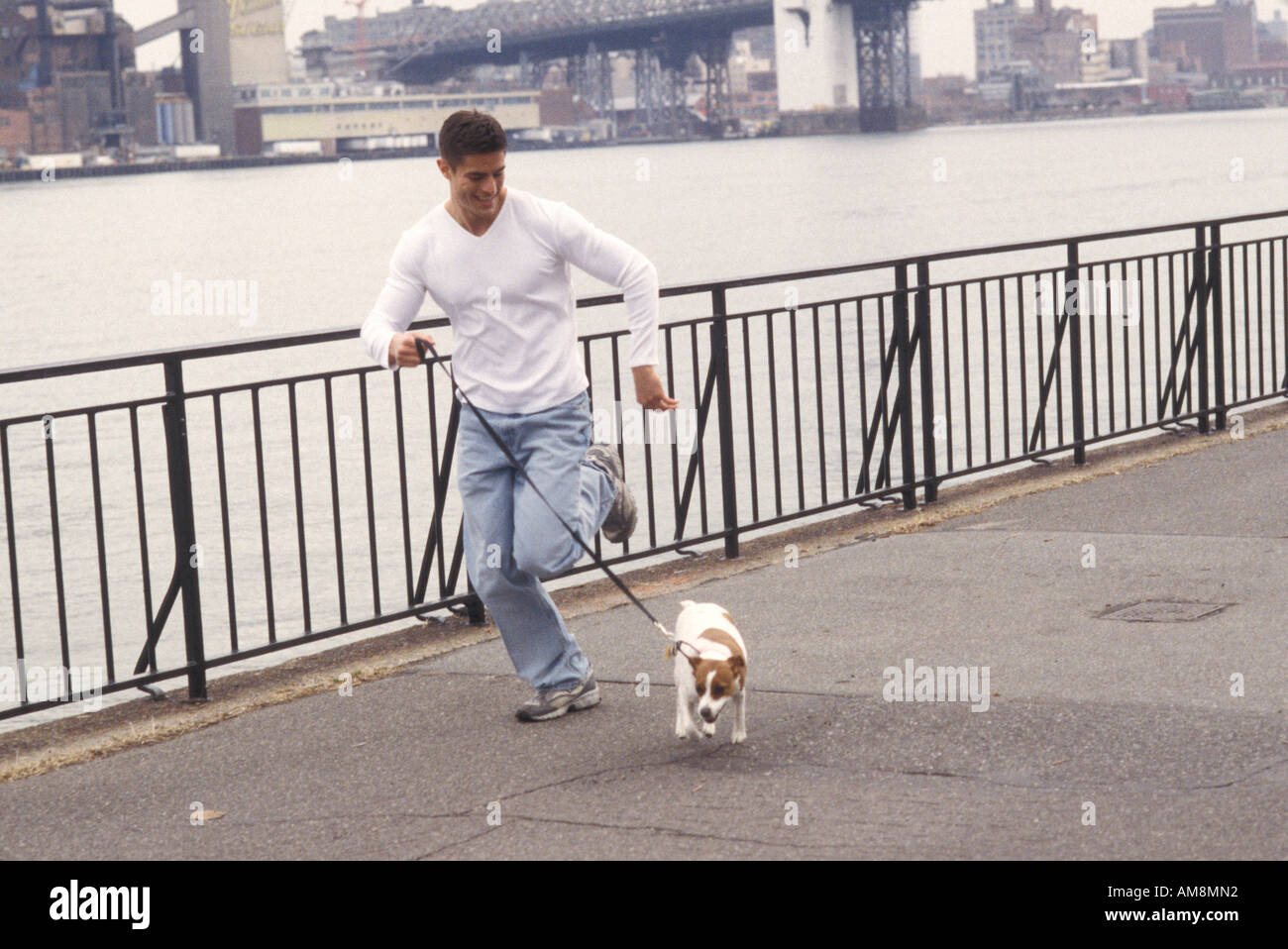 Man running with dog by railings Stock Photo - Alamy