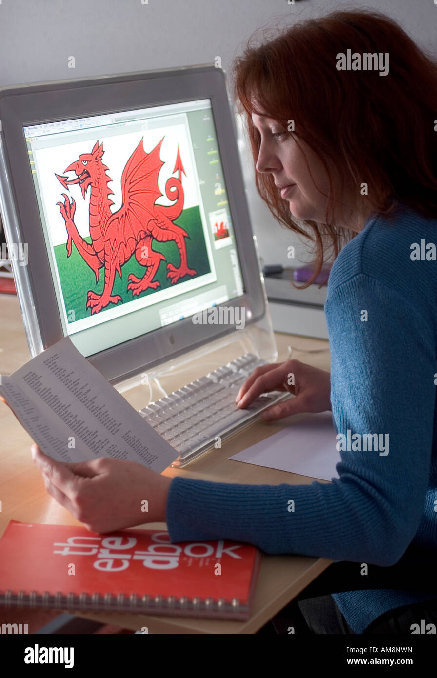 Woman Using Computer Stock Photo - Alamy