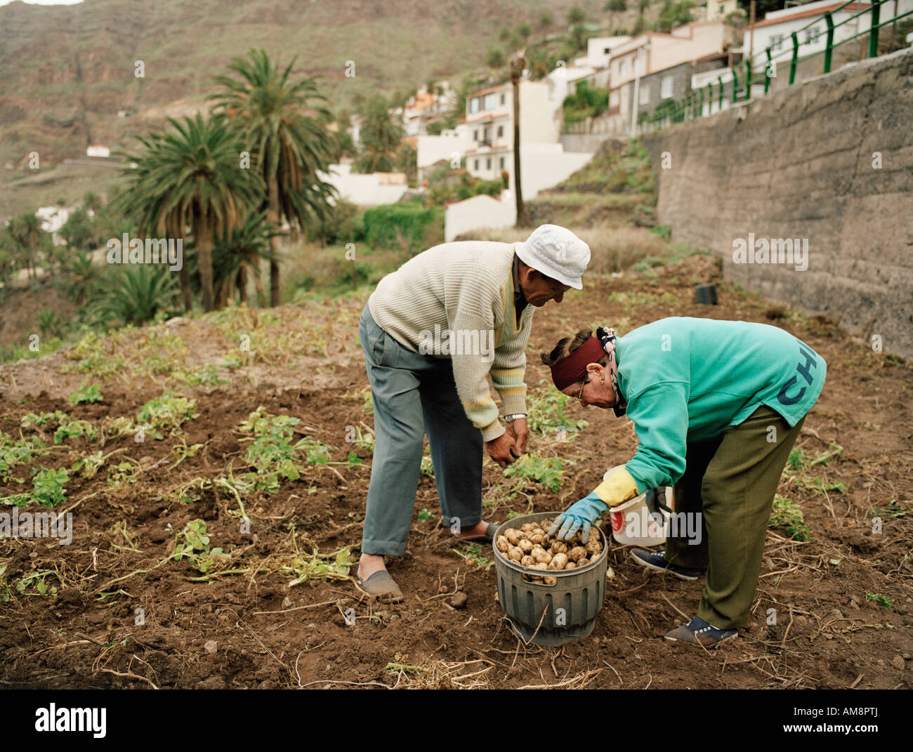 Farmers on their land reaping and sowing the earth Stock Photo - Alamy