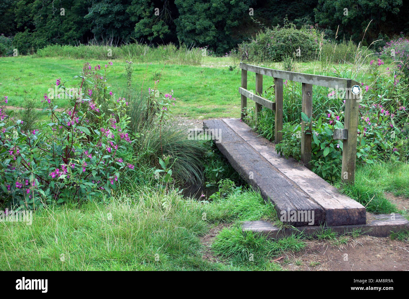 Rustic wooden footbridge over a Devon stream Stock Photo - Alamy