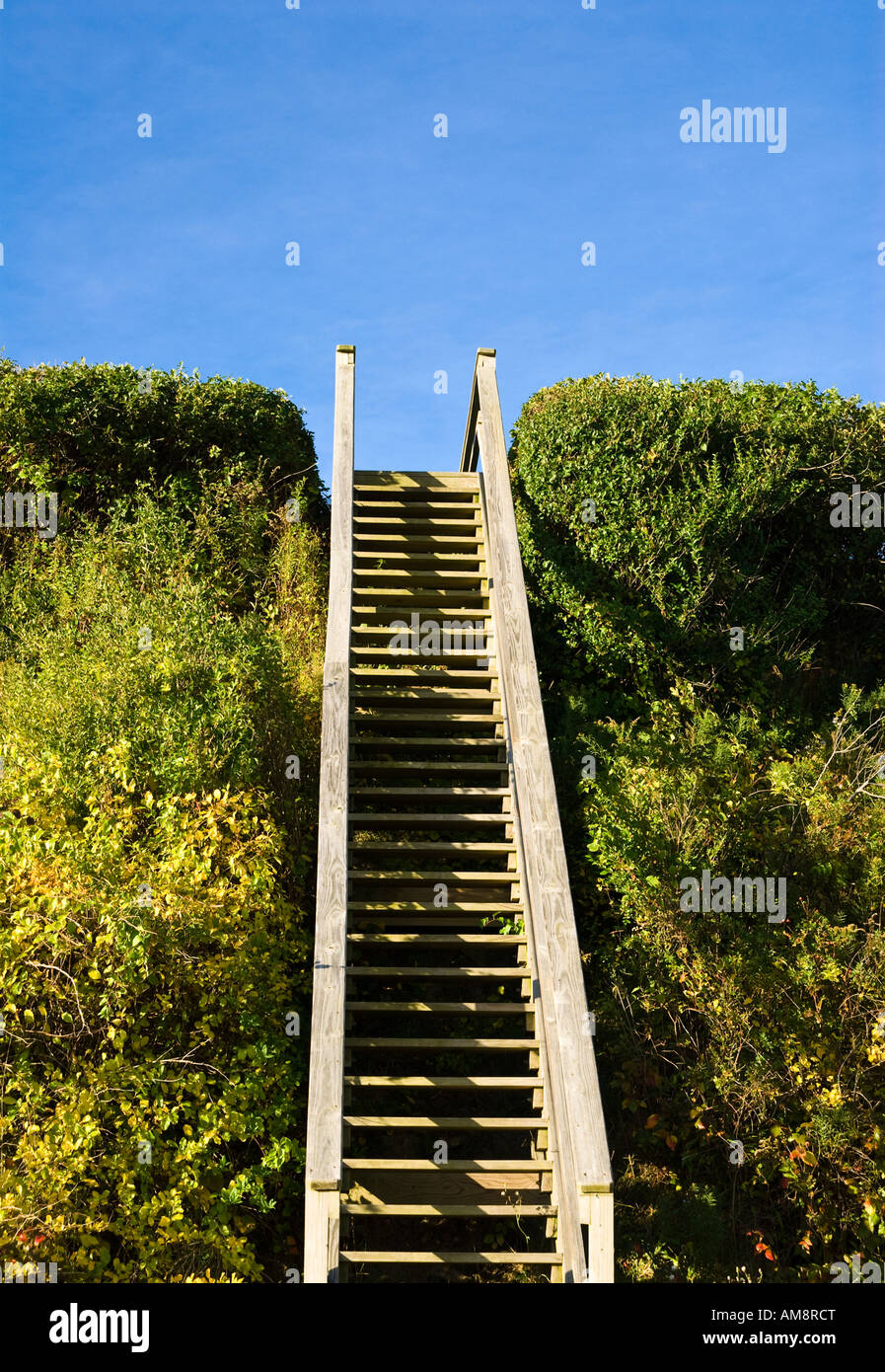Stairs to the beach house Cape Cod MA Stock Photo - Alamy