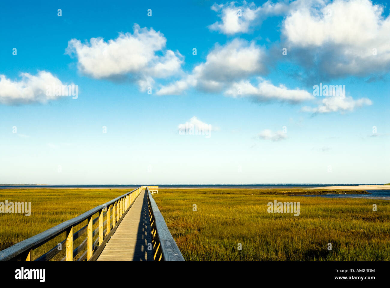 Bass Hole Boardwalk extends over marsh wetlands ending at observation ...