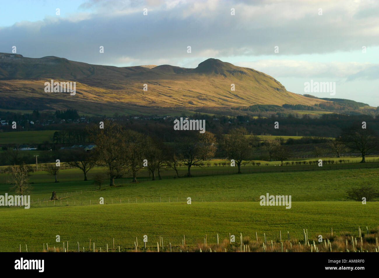 Dumgoyne hill Strathblane Scotland Stock Photo - Alamy