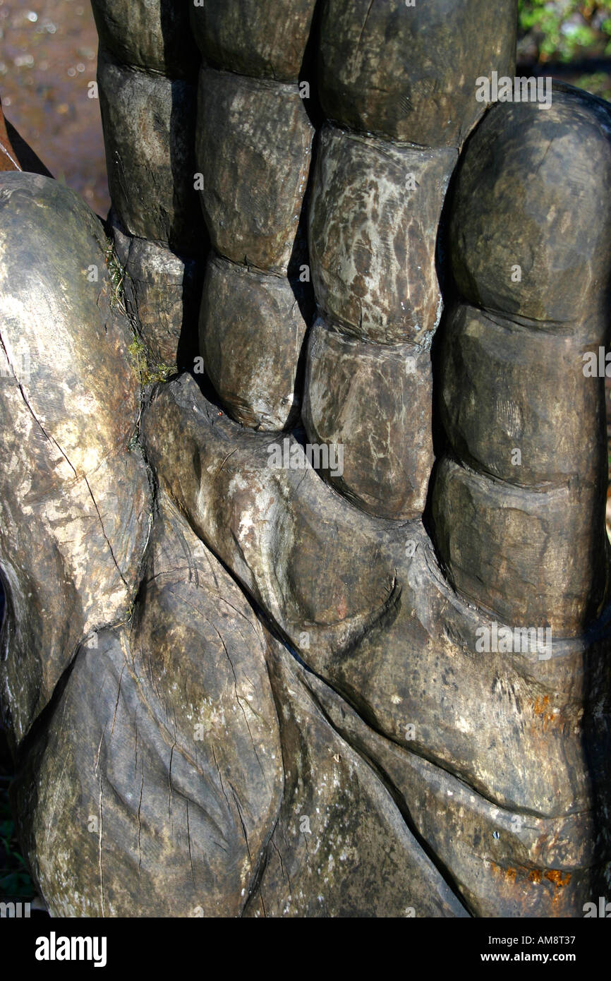 Large hand sculpted from tree stump close up detail Stock Photo - Alamy