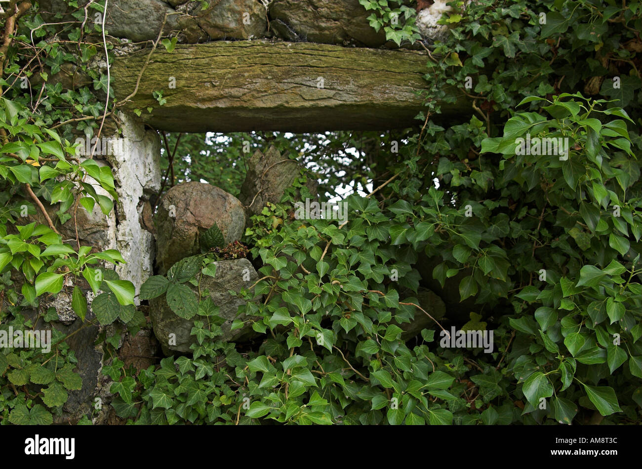 The window of an old Welsh cottage Stock Photo - Alamy