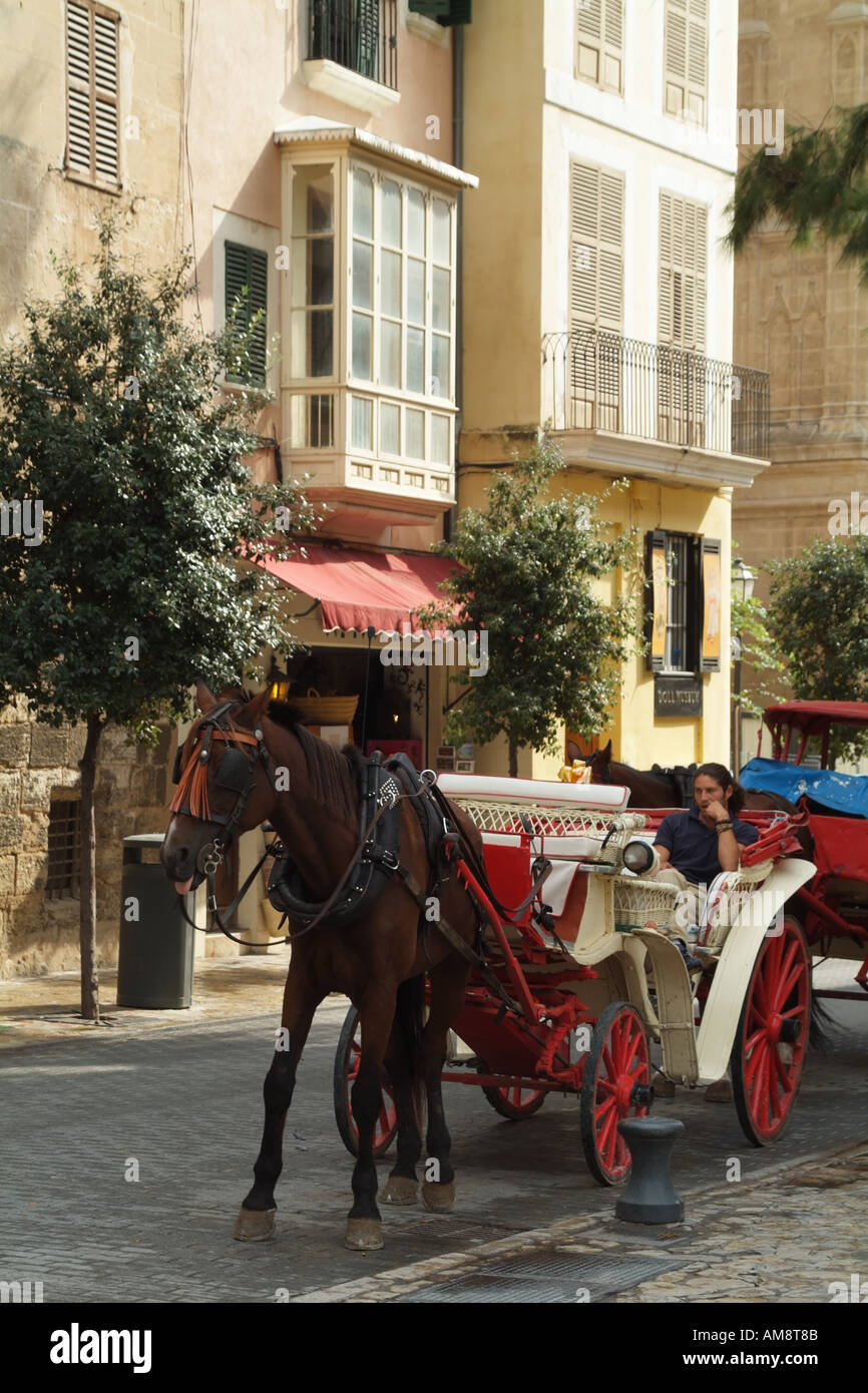 Horse drawn taxi cab Majorca Spanish island transportation Stock Photo ...