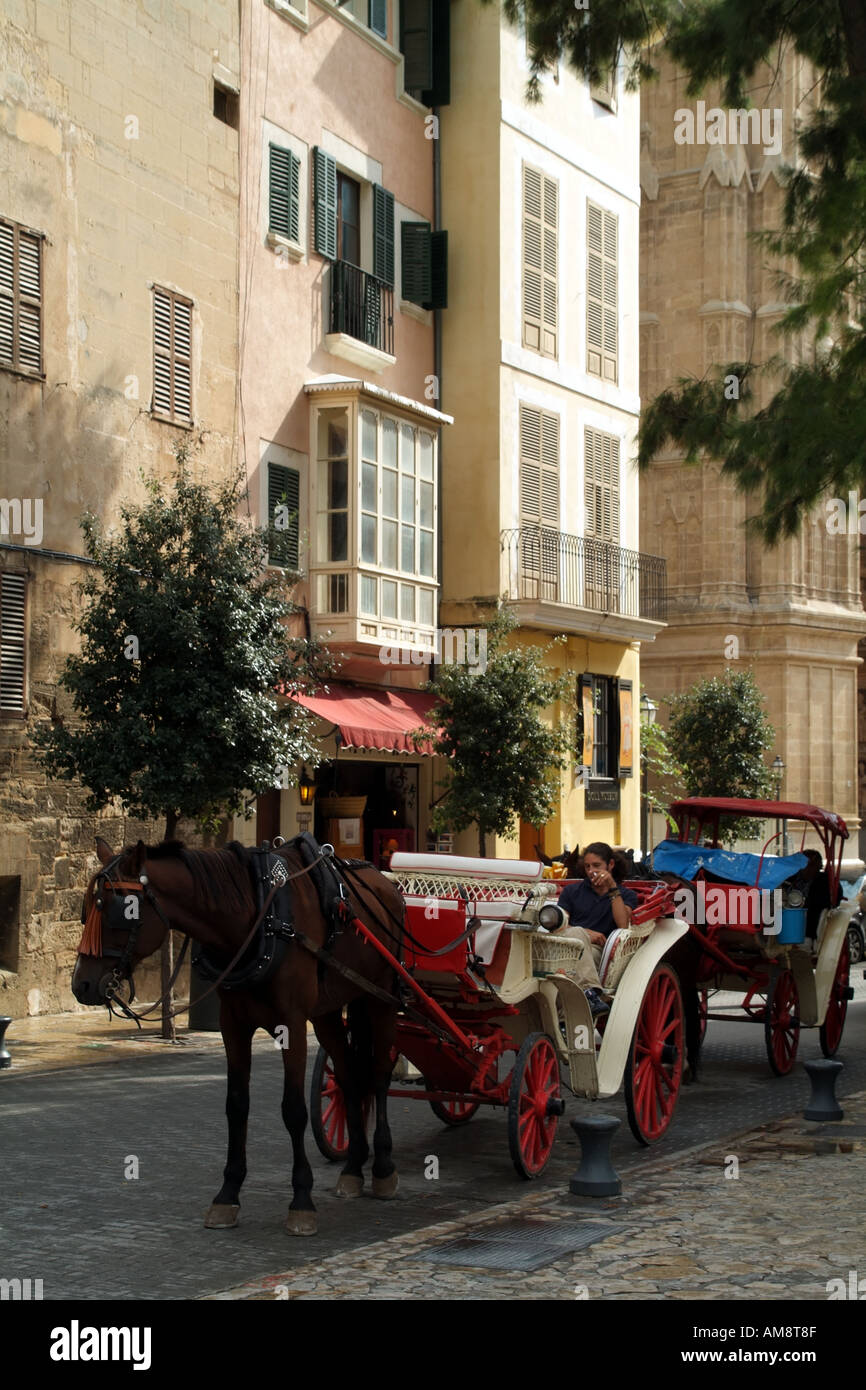 Horse drawn taxi cab Majorca Spanish island transportation Stock Photo ...
