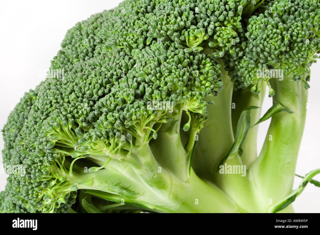 Nutritious broccoli isolated on white background Stock Photo - Alamy