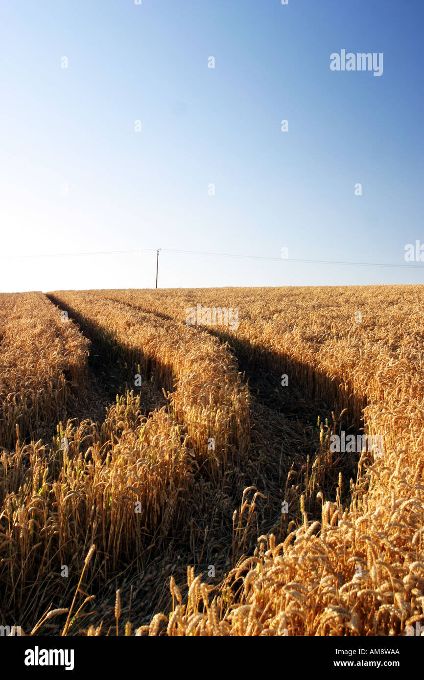 Curved tractor tracks hi-res stock photography and images - Alamy