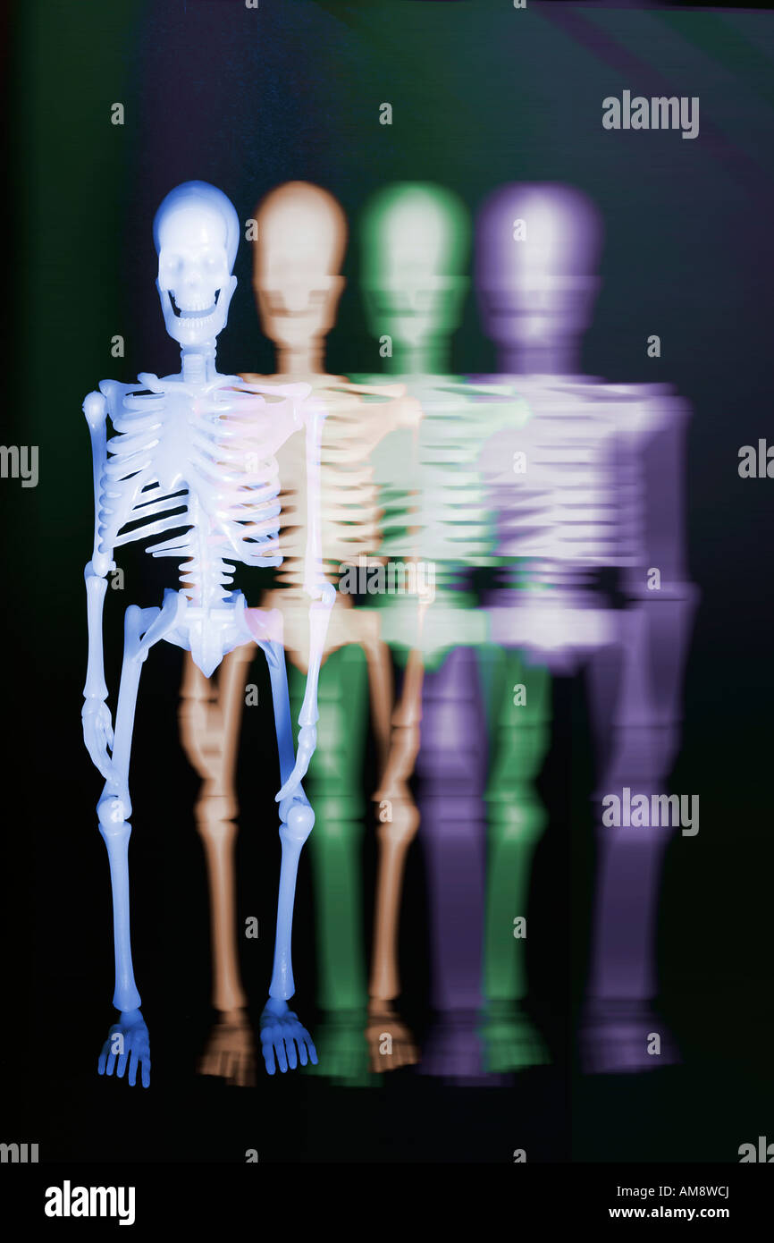 Fake skeletons hi-res stock photography and images - Alamy