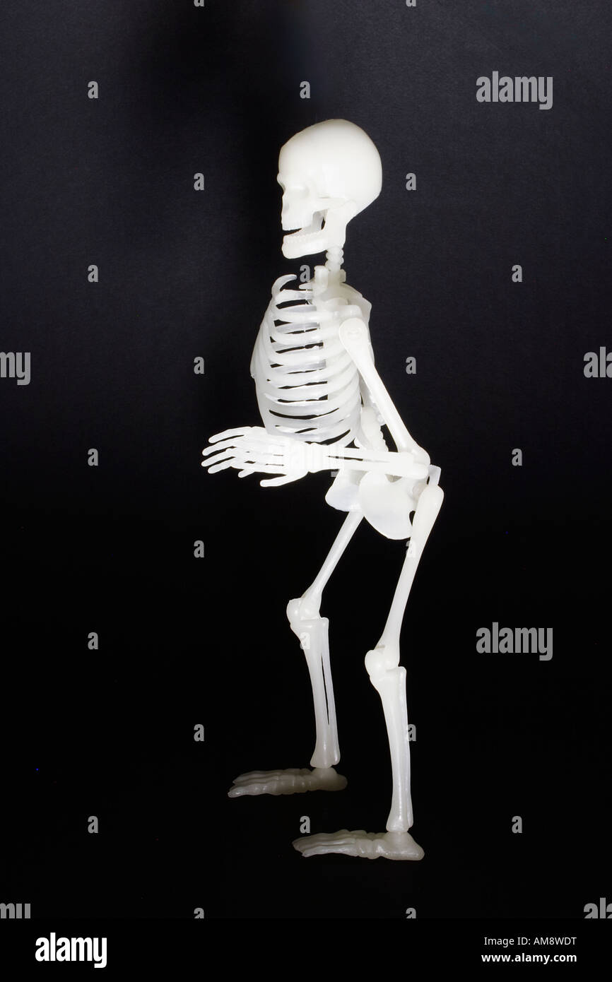 Human skeletal remains hi-res stock photography and images - Alamy