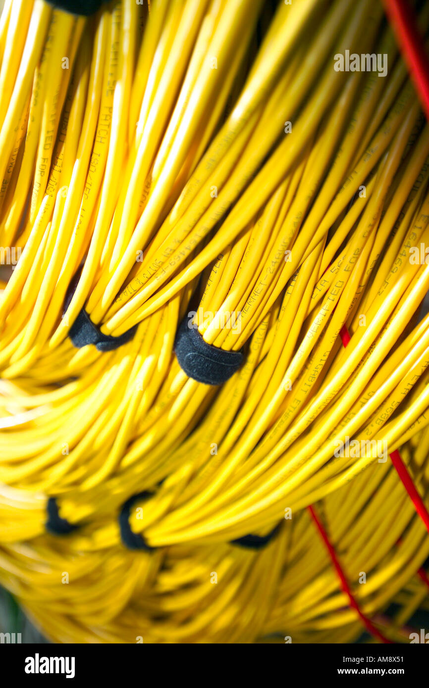 Yellow CAT 5 computer cables Stock Photo - Alamy