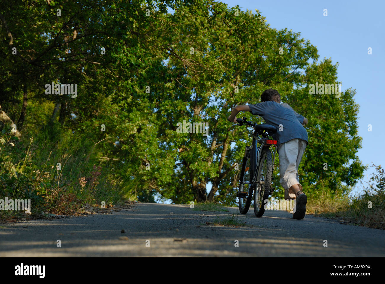 Thirteen year old boy pushing a mountain bike uphill, Cévennes, France ...