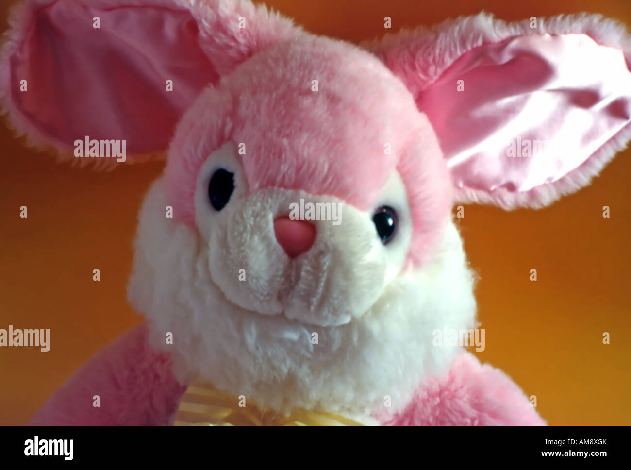 A w pink hi-res stock photography and images - Alamy