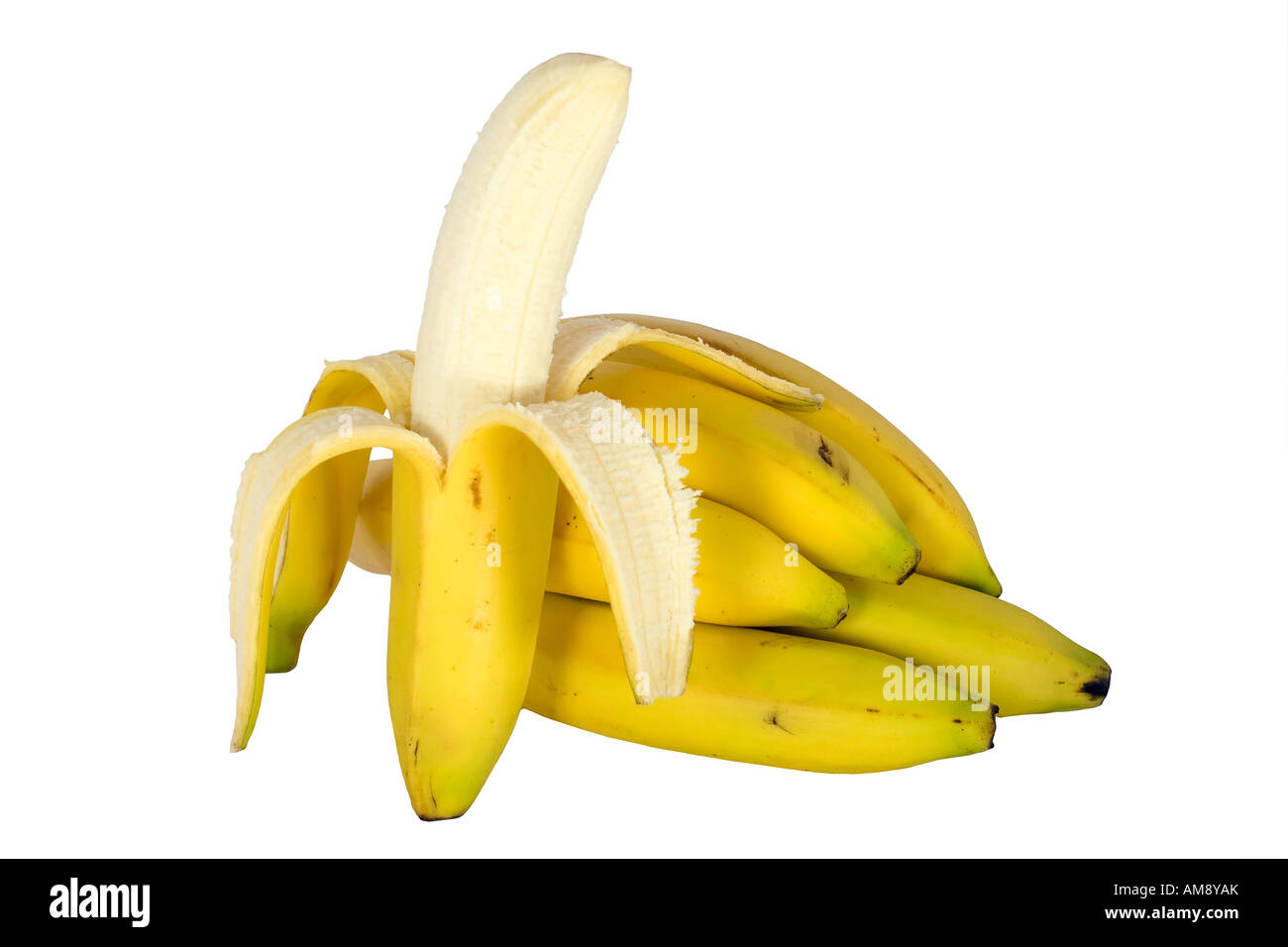 A cluster of Cut Out Stock Images & Pictures - Alamy